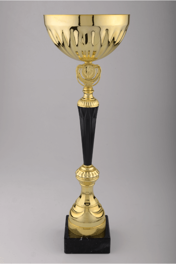 Cupe Sportive CS 49 | CUPE SPORTIVE - STANDARD | Trofee si Premii ...