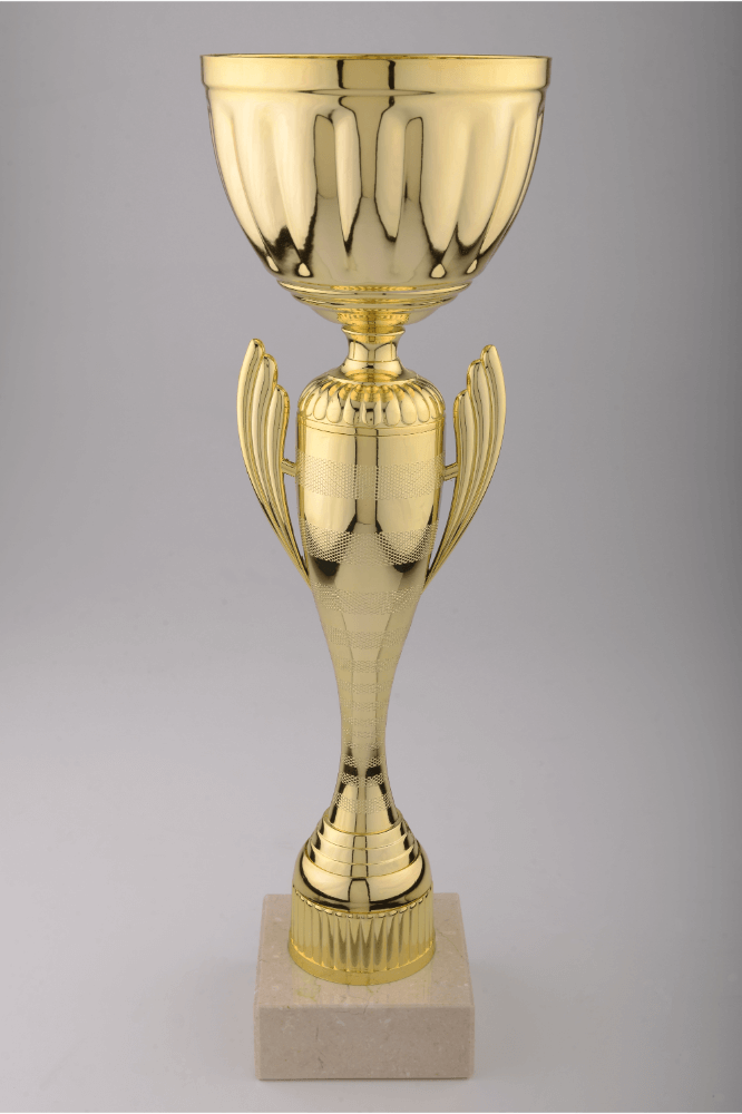 Cupe Sportive CS 56 | CUPE SPORTIVE - STANDARD | Trofee si Premii ...